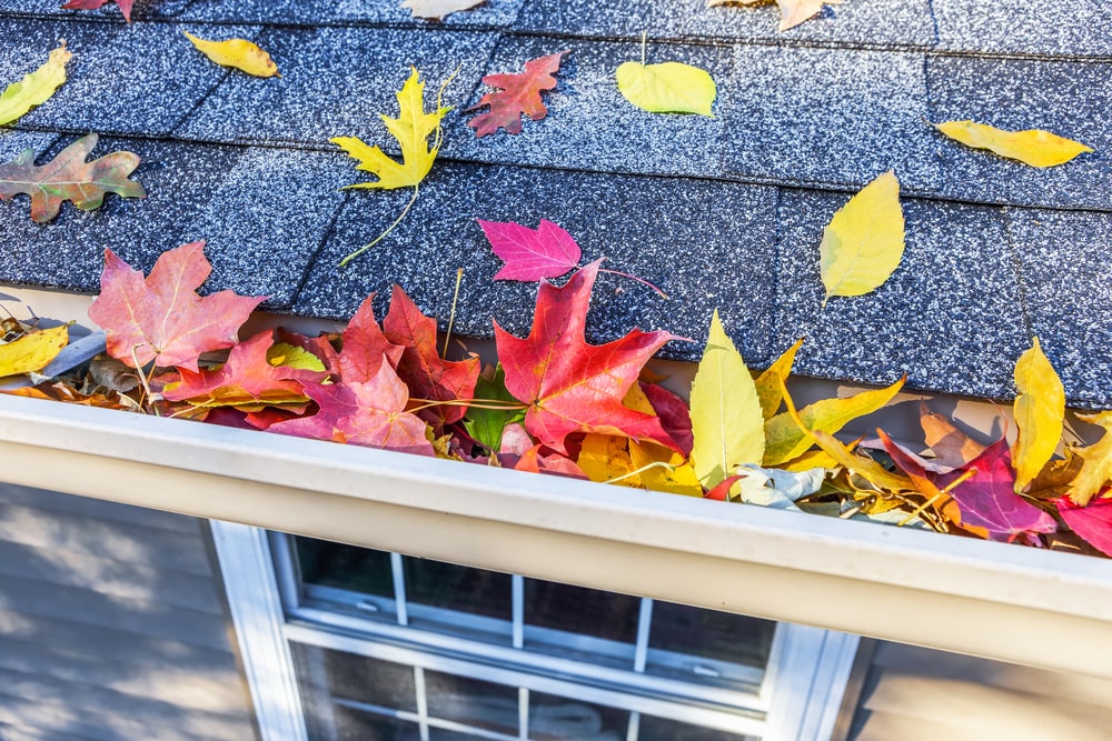 5 Fall Home Maintenance Tips | Lambert Home Inspections